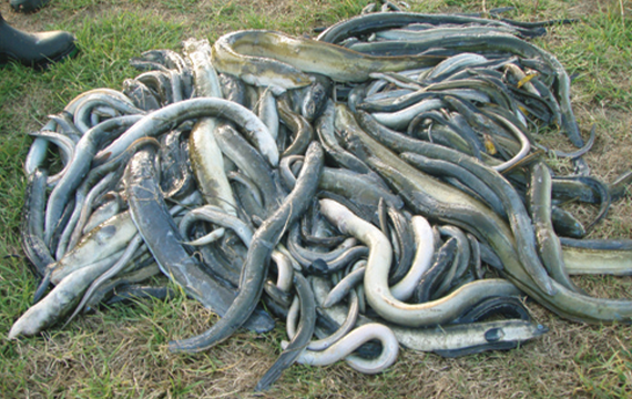 Preventing concrete pollution